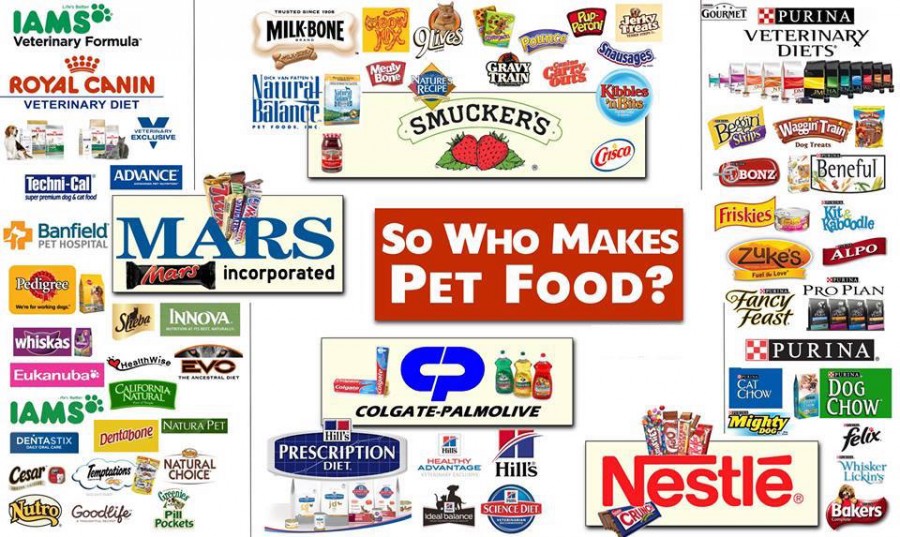 So Who Makes Pet Food infographic Holistic Pet Journal So Who Makes Pet Food infographic Holistic Pet Journal