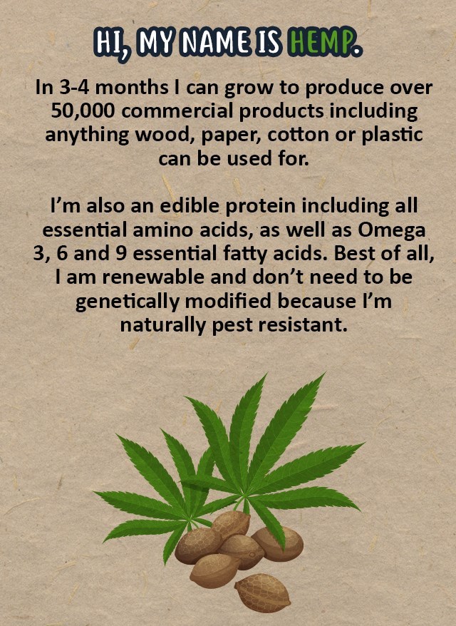 Hi, My Name is Hemp [Infographic] – Holistic Pet Journal